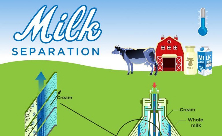 How-does-milk-separator-works - Milky Day Blog
