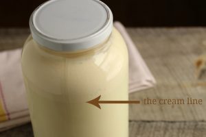 How does a milk separator work? - Milky Day Blog